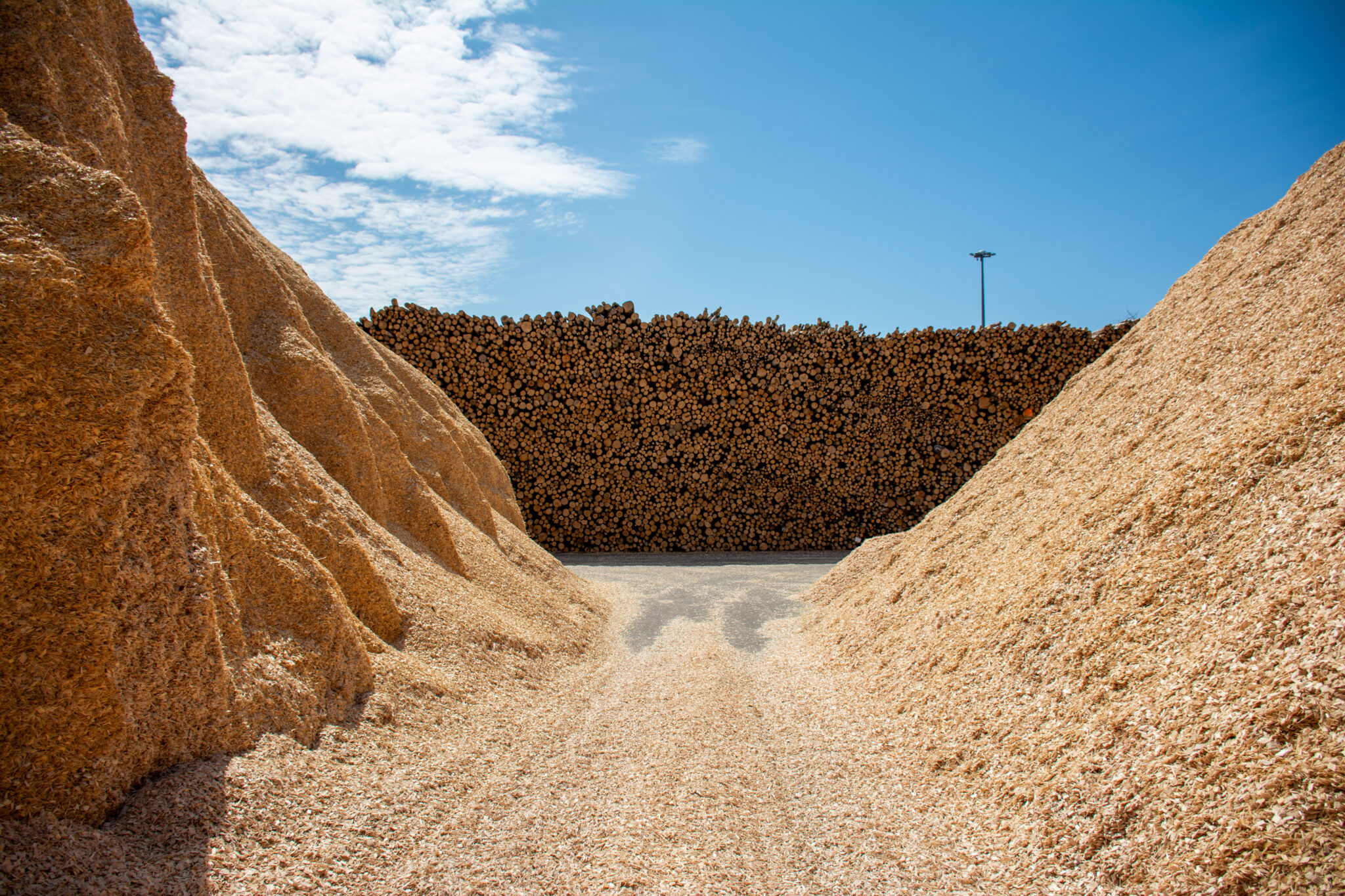 House on Fire: Fixing ‘A Wildfire Year’ - TimberHP